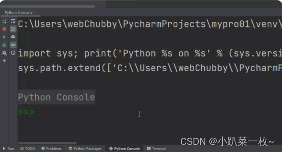 Python运行环境搭建-CSDN博客
