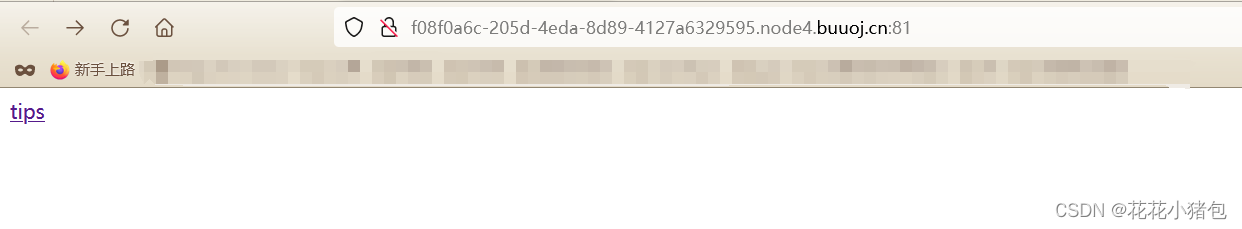 BUUCTF web题目之 Include_buuctf include-CSDN博客