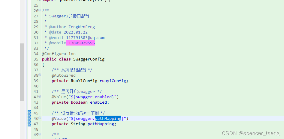 Could not resolve placeholder ‘spring.datasource.druid.initialSize‘ in value “${spring ...