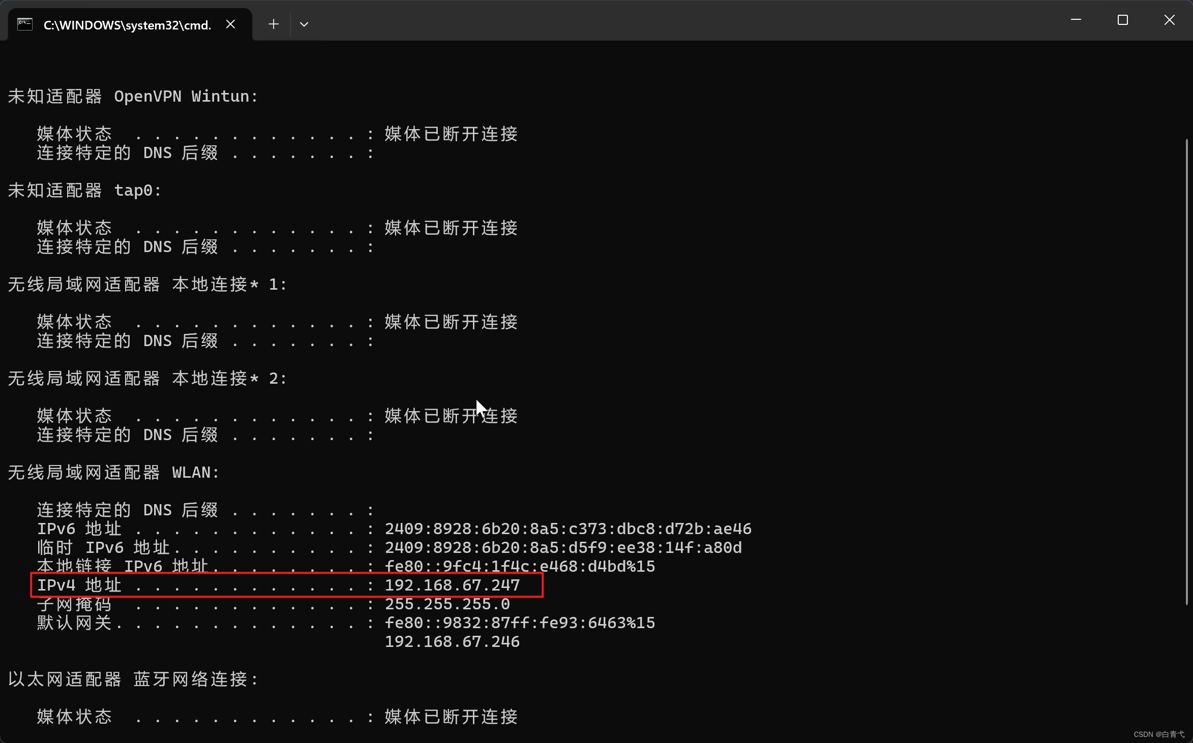 【超详细】win11安装qemu，用ssh客户端mobaxterm运行第一个hello汇编程序_windows11 qemu-CSDN博客