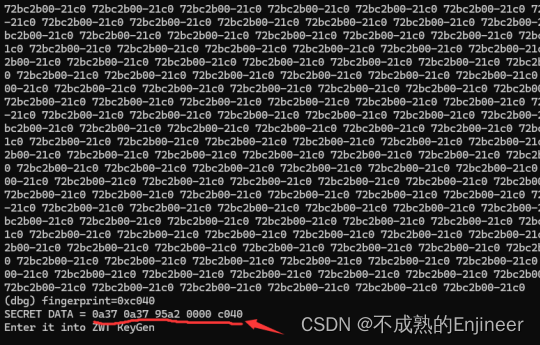 Rsoft软件安装教程-CSDN博客