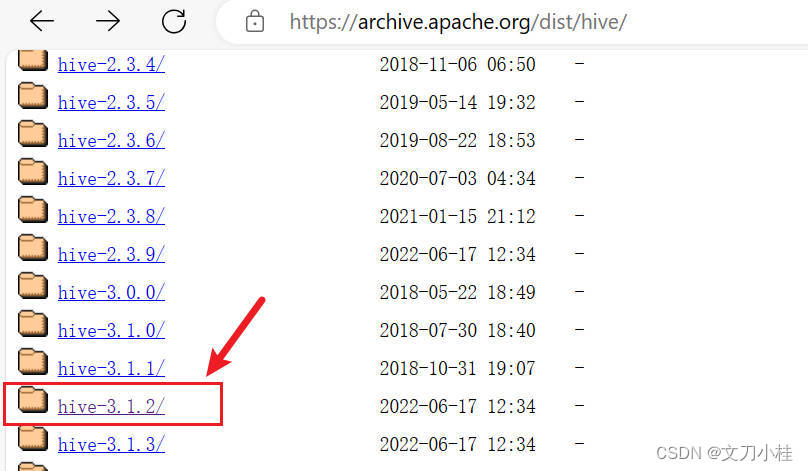 详解 Hive 安装搭建过程_hive官网安装指南-CSDN博客