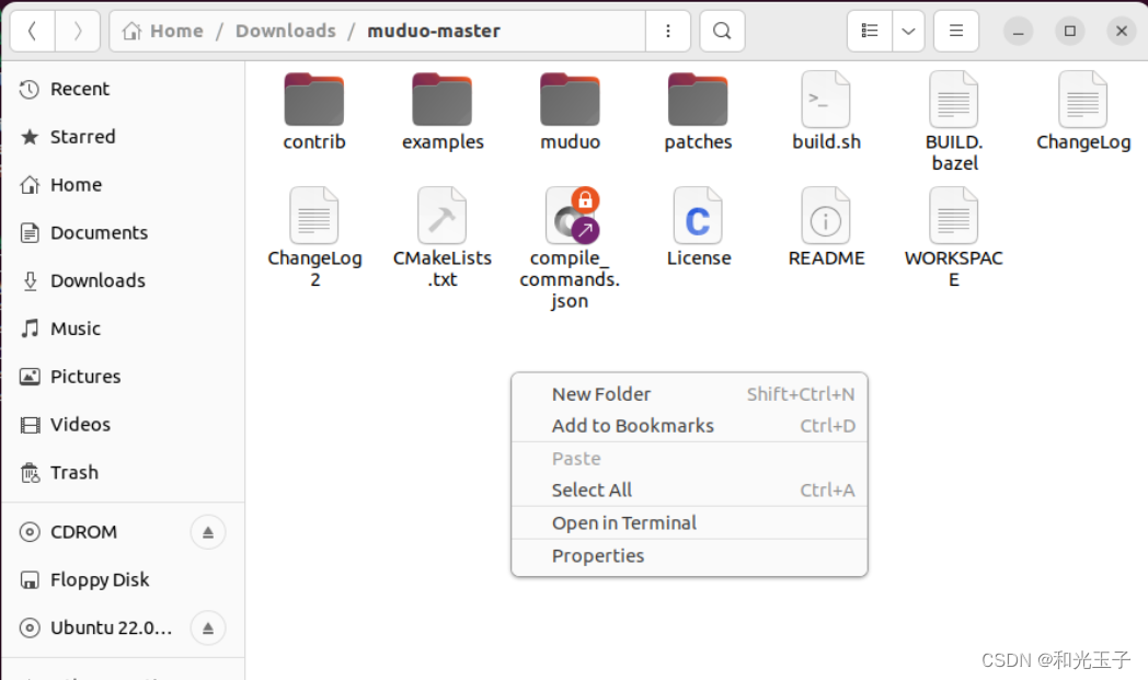 Ubuntu Linux下安装Muduo网络库最新详细步骤_ubuntu安装 muduo库并使用-CSDN博客