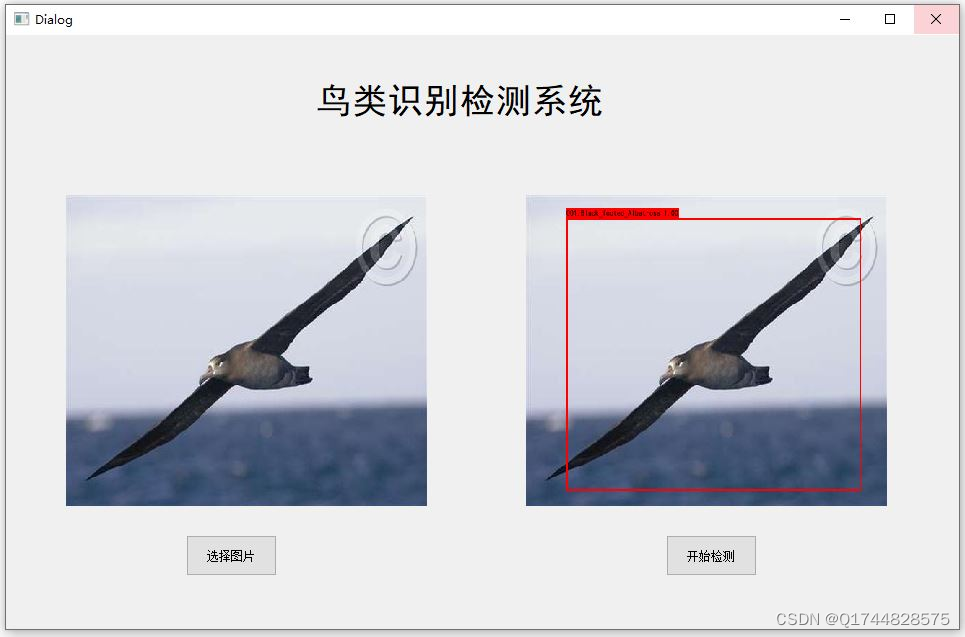 深度学习之基于tensorflow卷积神经网络鸟类目标识别检测系统 鸟类识别 Tensorflow Csdn博客