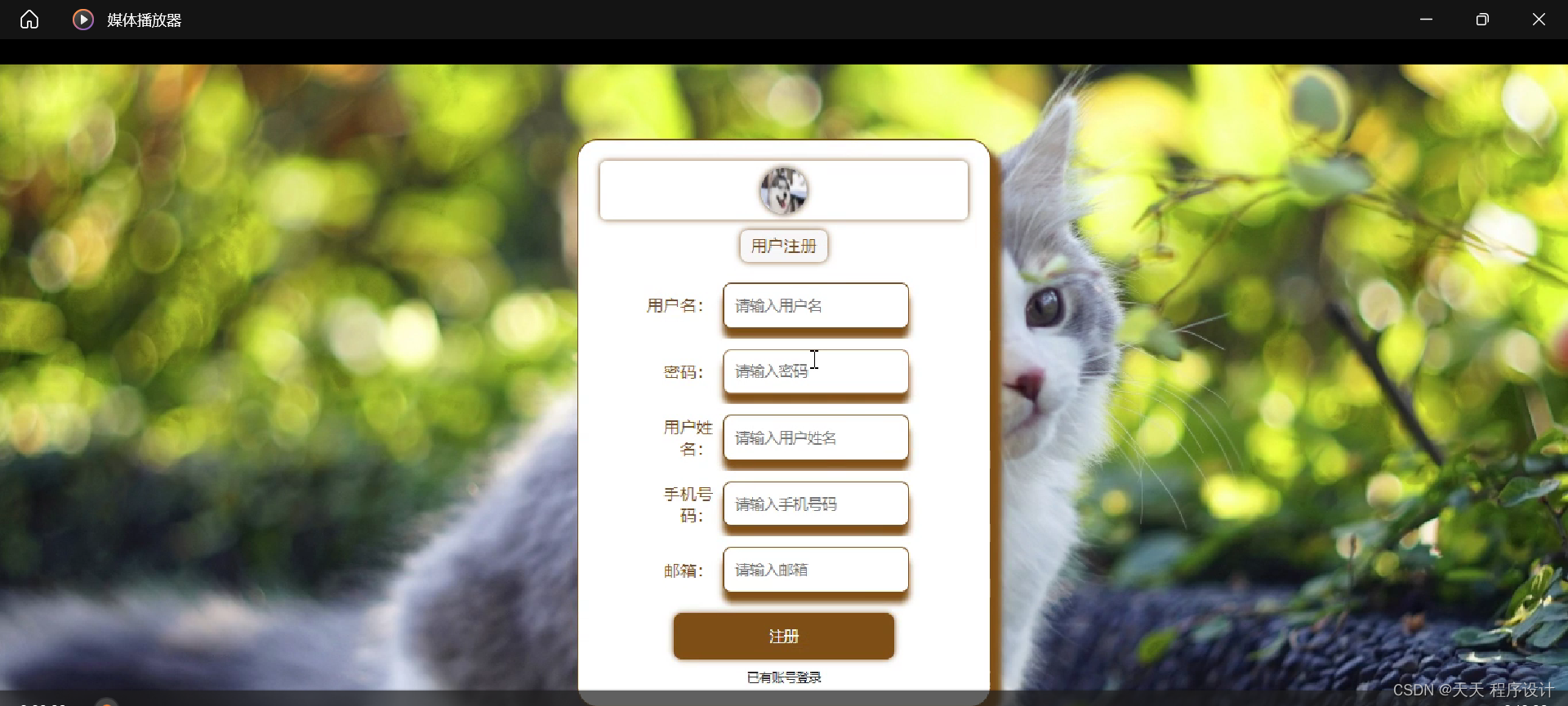 【附源码】java计算机毕业设计校园流浪猫图鉴管理系统的设计与实现源码mysql文档流浪猫管理系统 Csdn博客