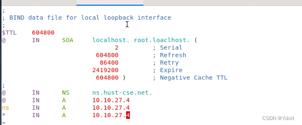华中科技大学网络空间安全学院2024年DNS攻击实验_hust dns-CSDN博客