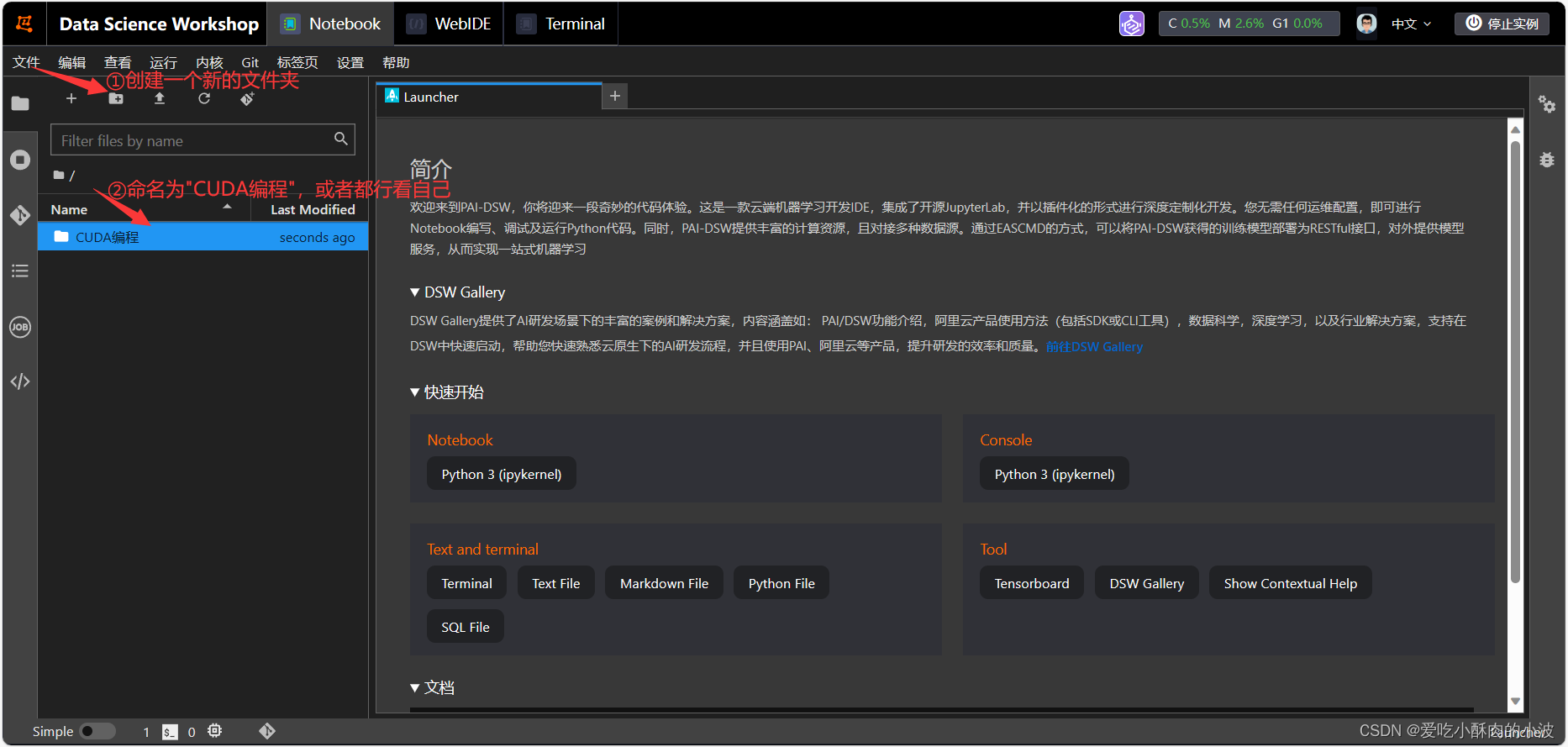 无显卡用google colab或阿里云DSW学CUDA编程的环境配置教程_没有gpu的电脑如何创建cuda的环境-CSDN博客