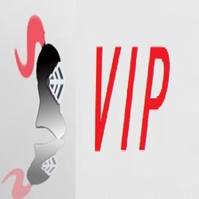 【VIP专属】Python应用案例——基于Word2Vec文本匹配的医疗方案推荐算法_word2vec案例-CSDN博客