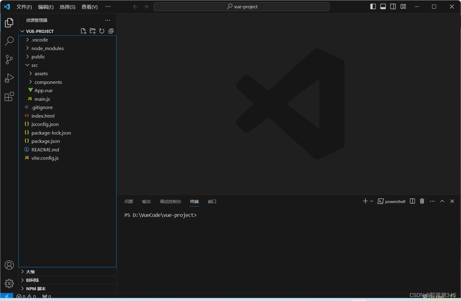 VsCode安装及常用插件下载_vscode插件vue下载-CSDN博客