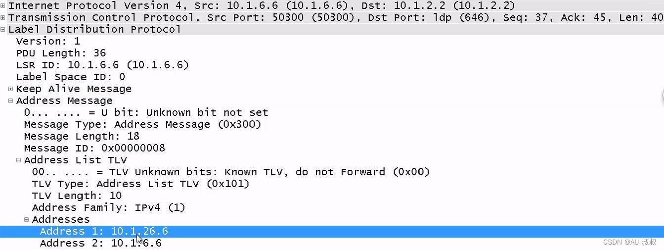 1.3 LDP会话建立过程_ldp 会话建立-CSDN博客