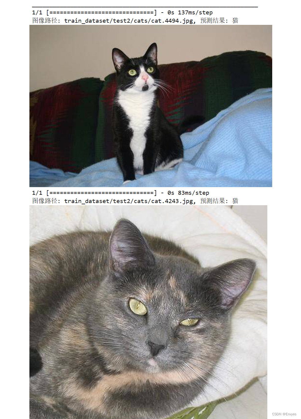 Cats vs Dogs 识别图像-CSDN博客