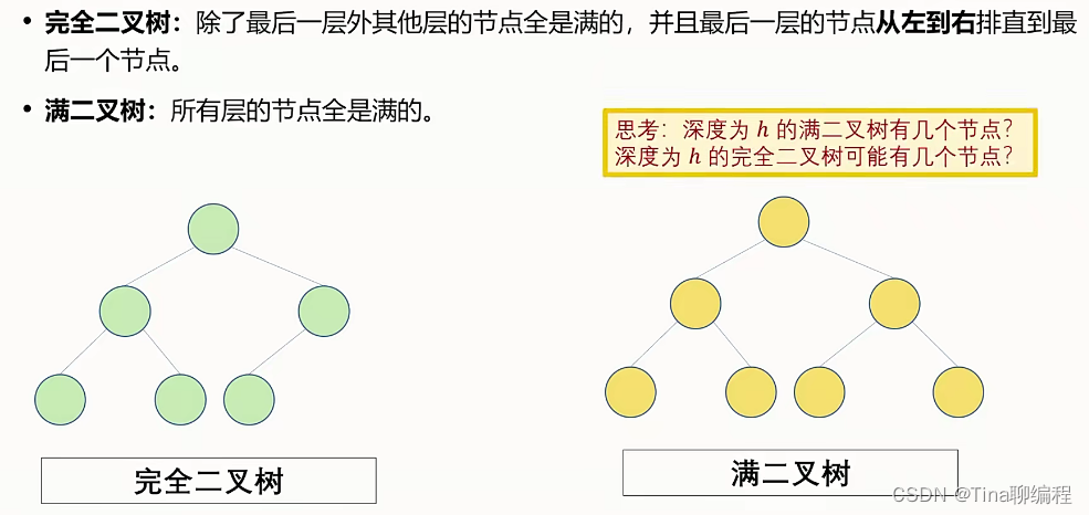 NOIP，CSP-J，CSP-S——树_csp-j关于树的真题-CSDN博客