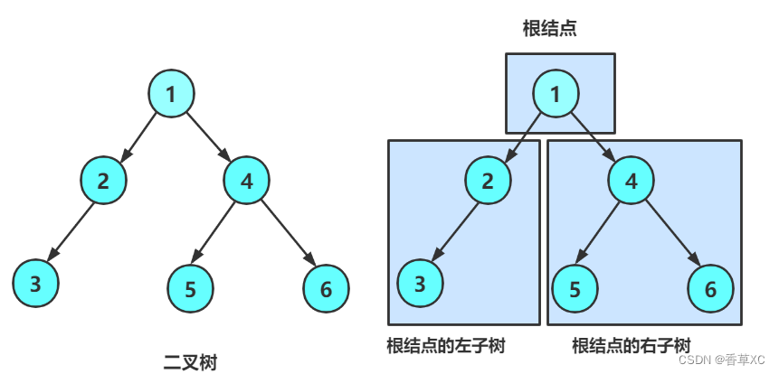C语言：树（Tree）与二叉树(Binary Tree)_编译器 treenode-CSDN博客