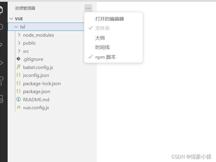 vscode 运行VUE项目 没有出现 npm脚本_vue3项目npm脚本的选项怎么没有了-CSDN博客