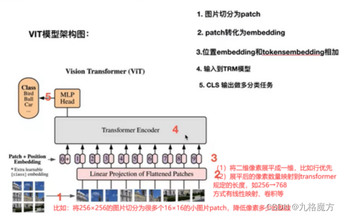 ViT学习笔记1 | 图文和代码讲解&相关专利框架借鉴_vit模块的代码-CSDN博客
