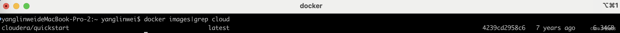 保姆级教程：docker下安装CDH（单机版）_docker cdh-CSDN博客