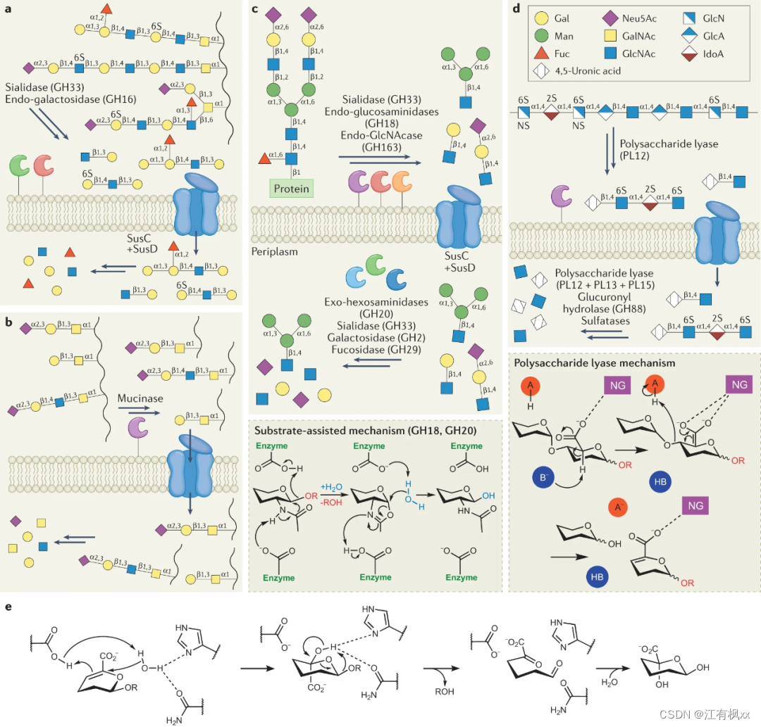 CAZyme相关-CSDN博客