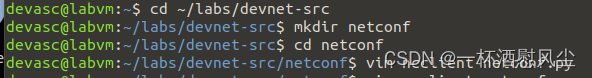 使用netconf访问ios Xe设备【实验笔记】思科netconf Csdn博客