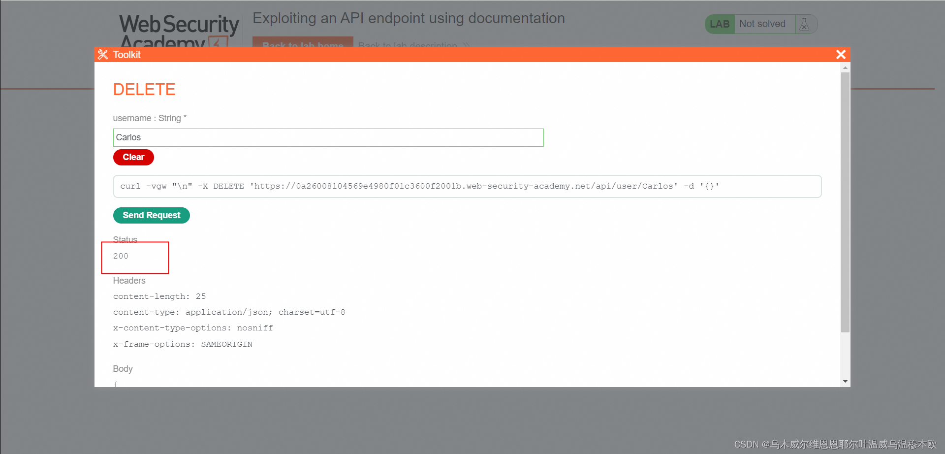 portswigger靶场API测试通关（上）_portswigger api-CSDN博客