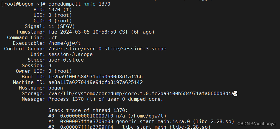 coredumpctl命令-CSDN博客