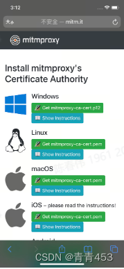 mitmproxy安装和使用-CSDN博客
