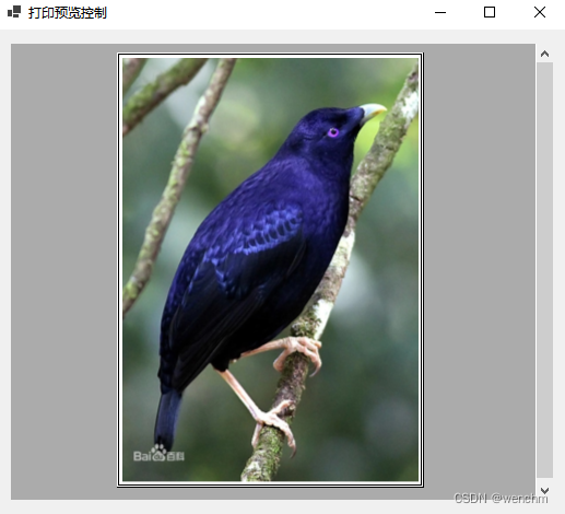 printdocument专题 printdocument专题