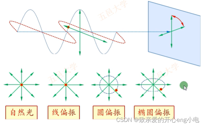 【大学物理实验】光的偏振实验-CSDN博客