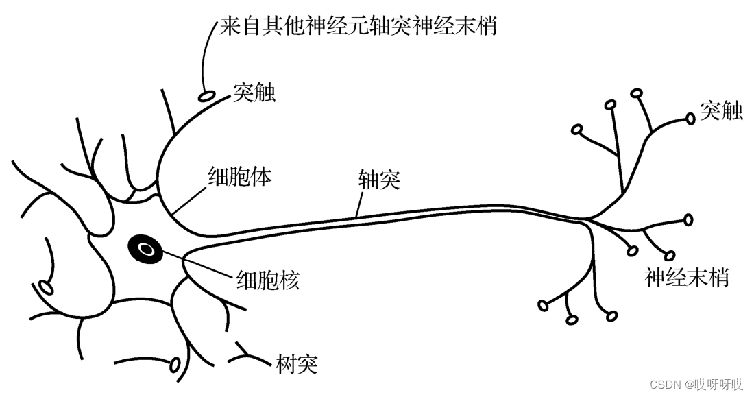 深度学习从入门到入土，基础知识篇二_神经元网络-CSDN博客
