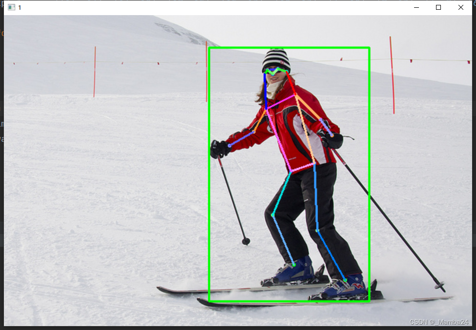 将CoCo数据集Json格式转成训练Yolov8-Pose姿态的txt格式_coco转txt-CSDN博客