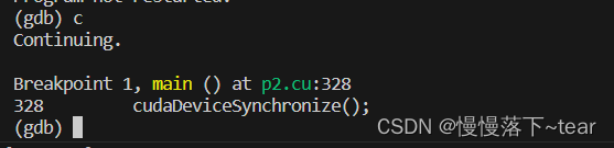 使用gdb来调试GPGPU-SIM的步骤_gpgpu-sim怎样配置gpu的规格-CSDN博客