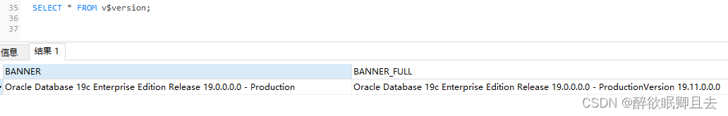 oracle19c JSON常用函数_oracle 19c json 函数-CSDN博客
