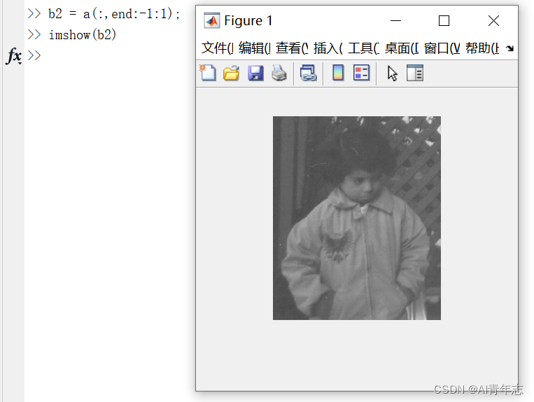 【数字图像处理matlab系列】使用数组索引进行简单的图像裁剪、二次取样操作matlab图片数组 Csdn博客