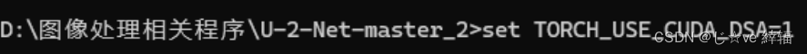 1:RuntimeError: CUDA error: an illegal memory access was encounteredCompile with TORCH_USE_CUDA ...
