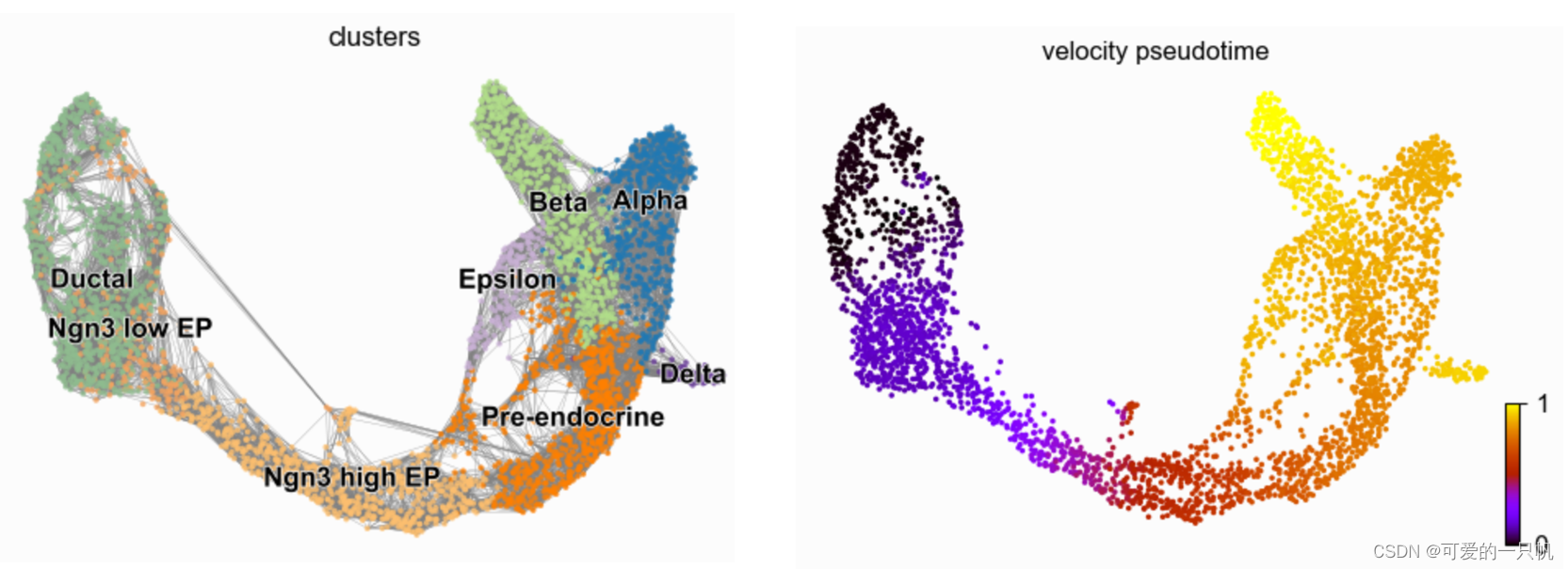 单细胞 | RNA速率 · scVelo_单细胞rna速率-CSDN博客