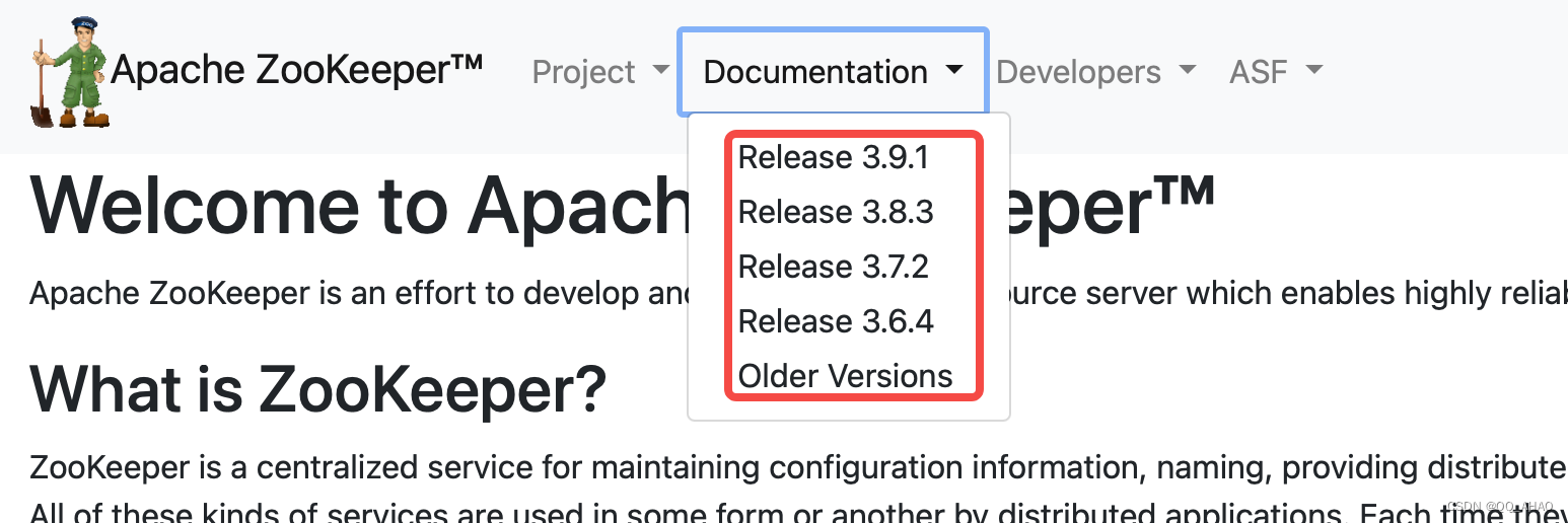 ZooKeeper 实战(一) 超详细的单机与集群部署教程（MacOS）_zk单机部署-CSDN博客