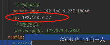 修改nacos注册服务的ip地址_nacos dubbo注册替换本地ip-CSDN博客