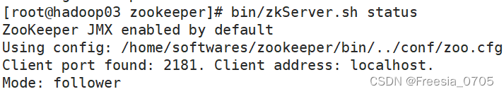 Zookeeper安装后无法启动问题汇总及解决办法_zk无法启动-CSDN博客