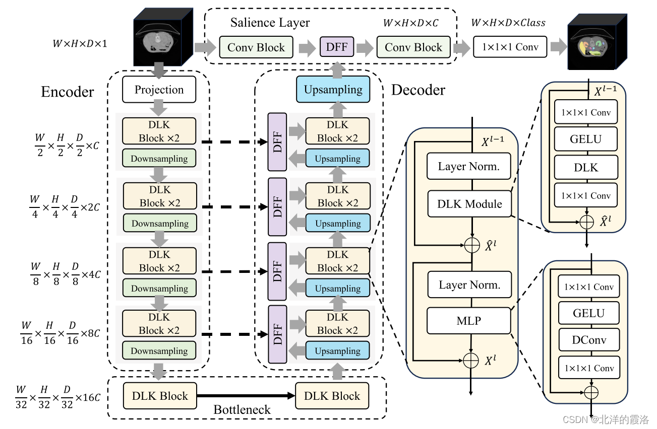 《D-Net: Dynamic Large Kernel with DynamicFeature Fusion for Volumetric Medical ImageSegmentat》全文 ...