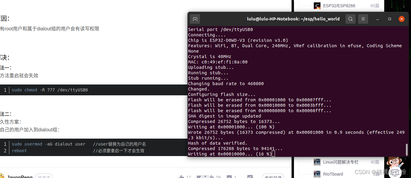 基于linux的esp32水位监测终端设计（二）学会helloworld-CSDN博客