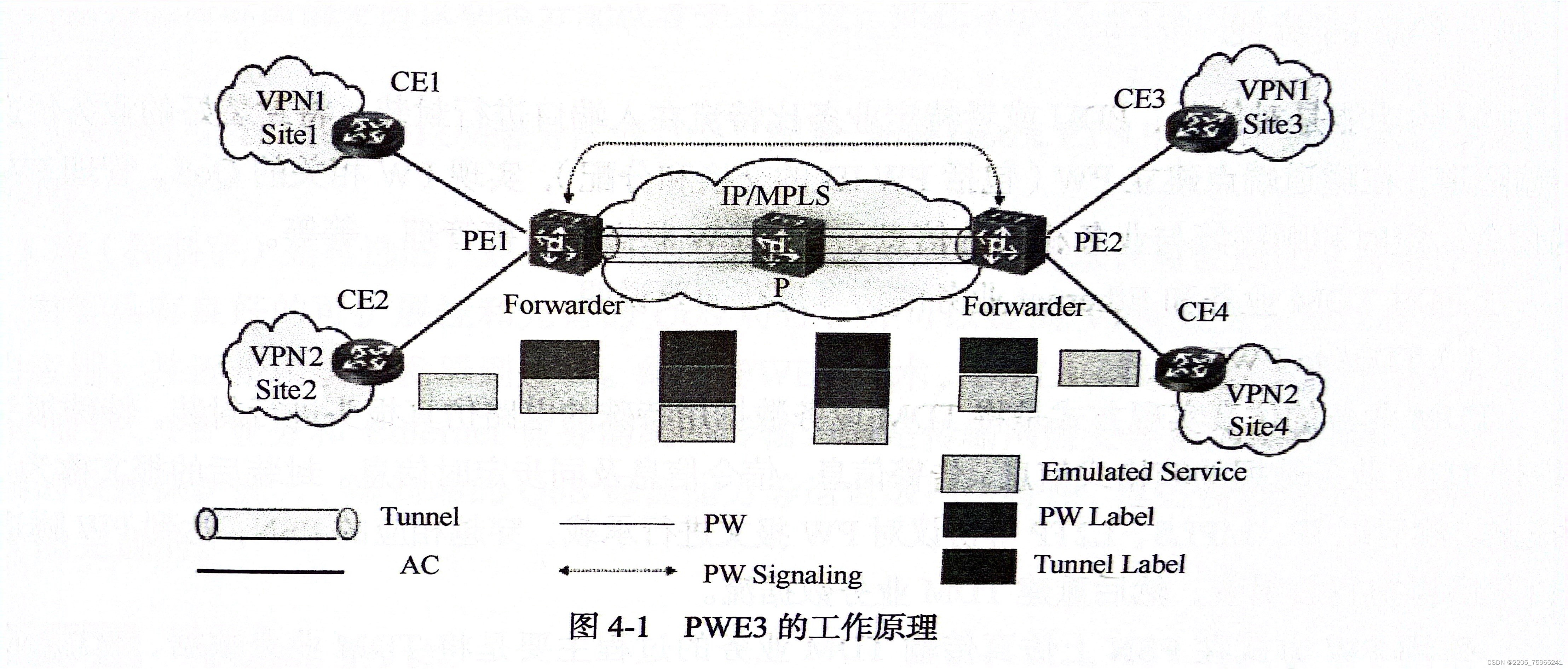PTN技术原理-CSDN博客