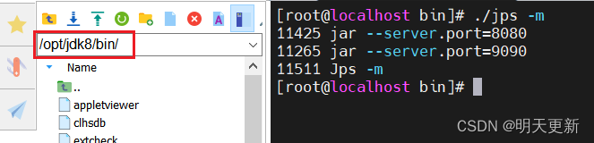 linux常用命令！！！-CSDN博客