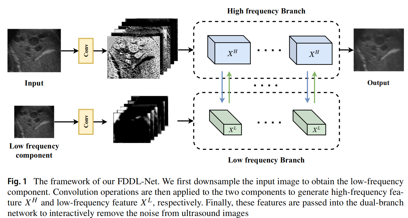 去噪与增强（denoise/enhancement）_speckle noise reduction for medical ...