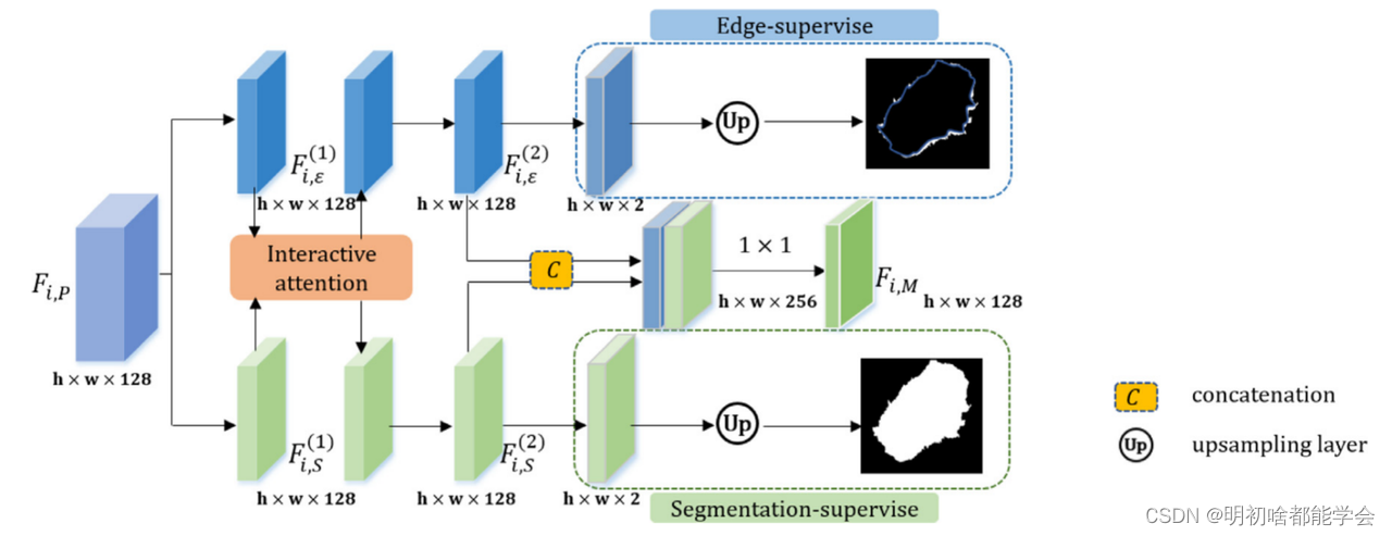 2022-MIA：基于边界感知上下文神经网络的医学图像分割Boundary-aware context neural network for medical image ...