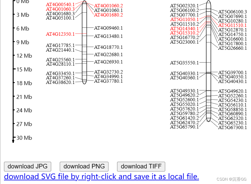 使用MG2C绘制基因染色体位置图_mg2c做染色体定位图-CSDN博客
