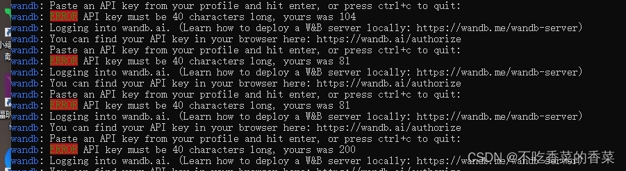 wandb login输入API key后不显示结果_wandb login的api输不进去-CSDN博客
