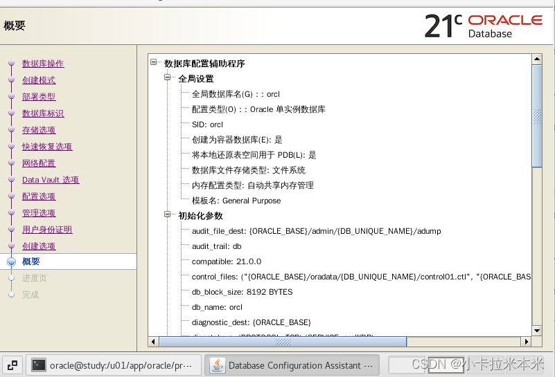 Linux 安装oracle 21c_oracle21c数据库linux下载安装-CSDN博客