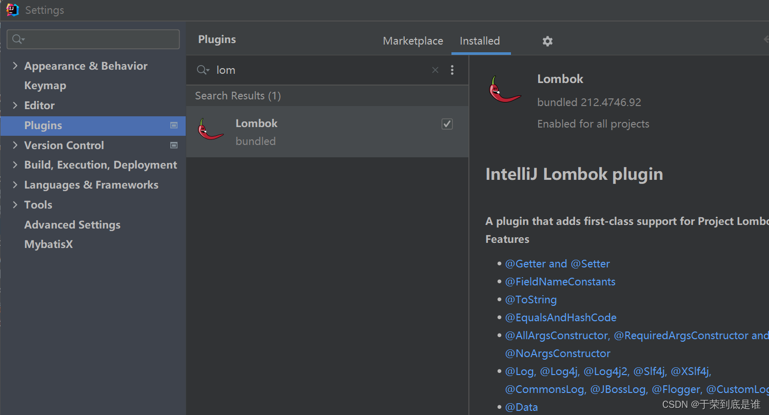 Java中简化实体类的开发——使用lombok实体类 Lomok Csdn博客