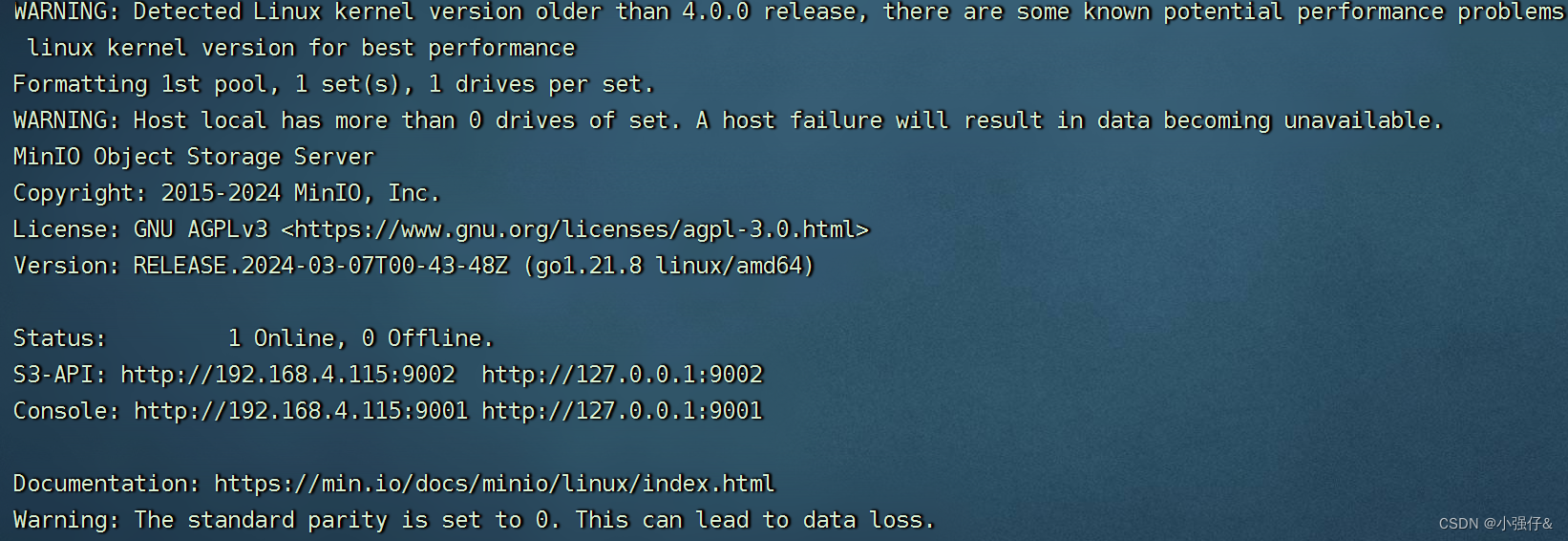 Linux安装minio教程（亲测有效）_linux 安装minio-CSDN博客