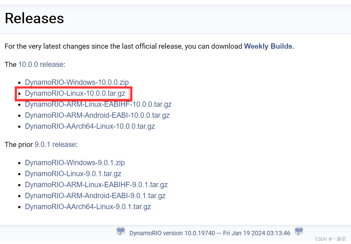 Dynamorio插桩工具的使用-CSDN博客