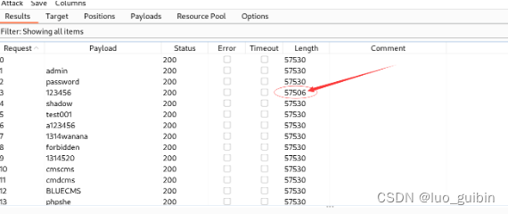 bp登录页爆破Cluster bomb集束炸弹模式_cluster bomb 怎么用-CSDN博客